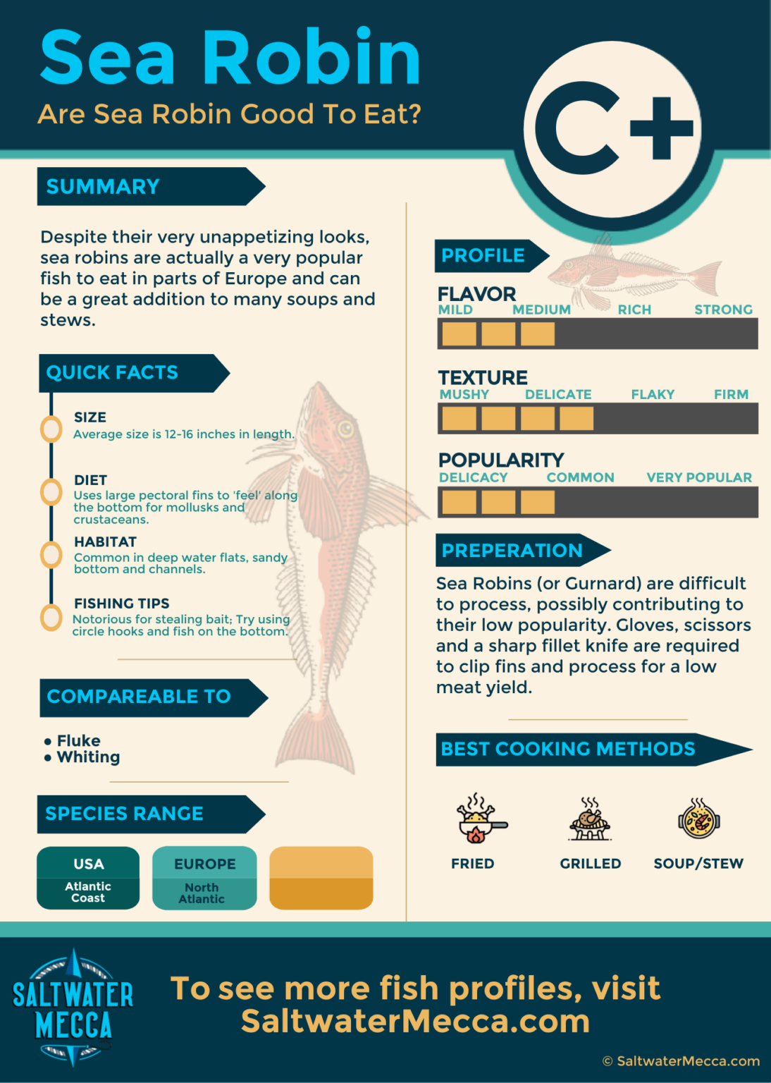 Are Sea Robins Edible? (Are They Good To Eat?) • SaltwaterMecca