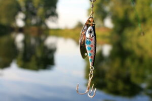 3 Popular Bluefish Rigs You Need To Know • SaltwaterMecca